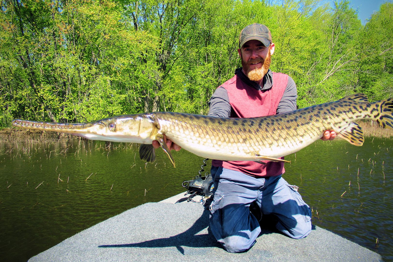 World Record Pike Canada